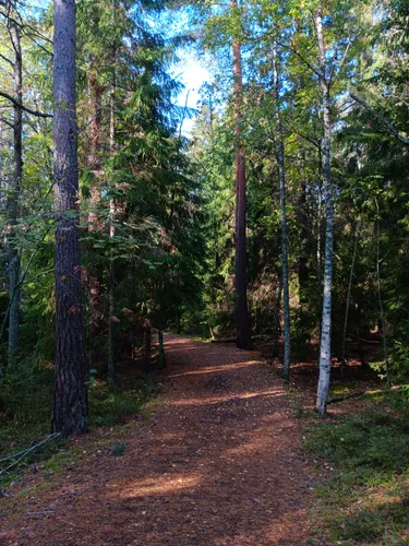 Best Hikes and Trails in Ruissalo Nature Reserve | AllTrails