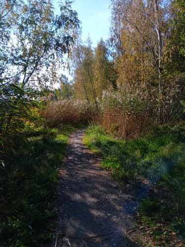 Best Hikes and Trails in Ruissalo Nature Reserve | AllTrails