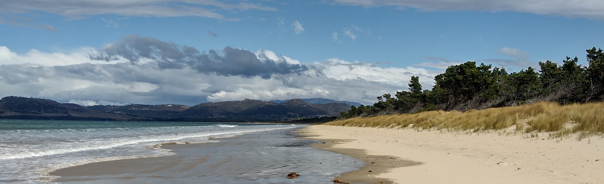 Sandy Point: 47 Fotos - Tasmanien, Australien | AllTrails