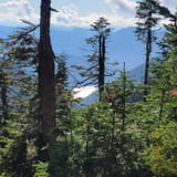 McClellan Butte Trail, Washington - 1,052 Reviews, Map | AllTrails