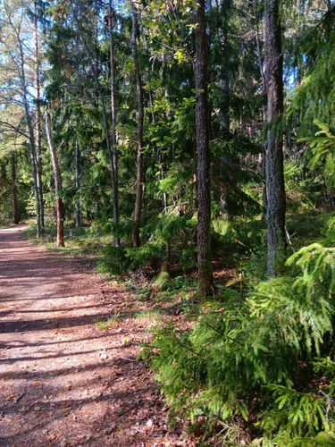 Best Hikes and Trails in Ruissalo Nature Reserve | AllTrails