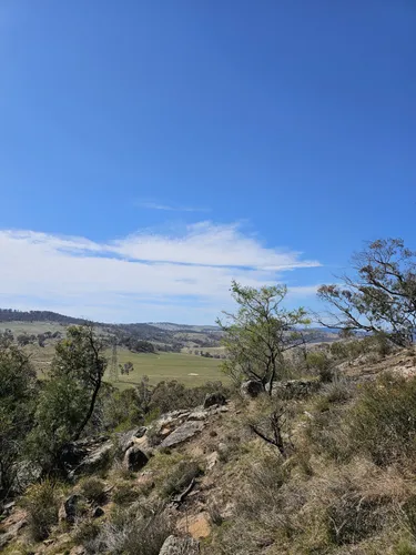 Best Hikes and Trails in Evans Crown Nature Reserve | AllTrails