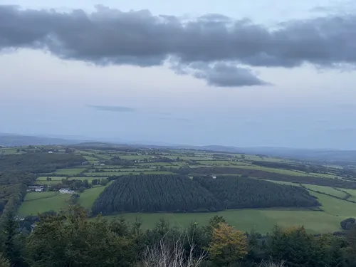 Best Hikes and Trails in Corrin Woods | AllTrails