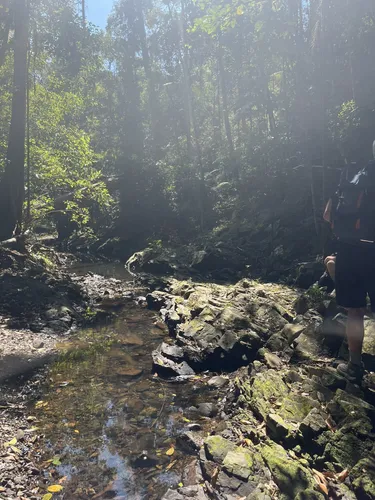 Best Hikes and Trails in Mooball National Park | AllTrails
