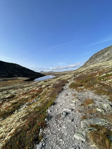Best Kid Friendly Trails in Rondane National Park | AllTrails
