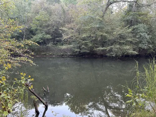 Best Hikes and Trails in Lake Rabon Park | AllTrails