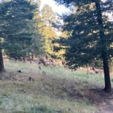 Genesee Mountain Trail Outer Loop, Colorado - 1,389 Reviews, Map ...