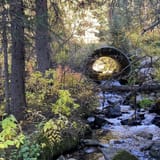 Nolan Lake Trail, Colorado - 242 Reviews, Map | AllTrails