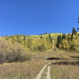 Nolan Lake Trail, Colorado - 242 Reviews, Map | AllTrails