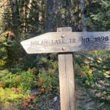 Nolan Lake Trail, Colorado - 242 Reviews, Map | AllTrails