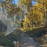 Nolan Lake Trail, Colorado - 242 Reviews, Map | AllTrails