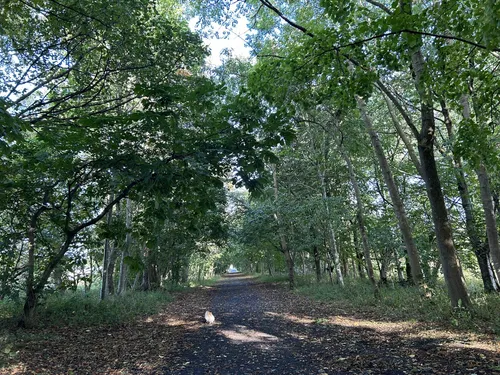 Best Hikes and Trails in Cammo Estate Local Nature Reserve | AllTrails