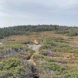 Mount Success via Appalachian Trail, New Hampshire - 391 Reviews, Map ...