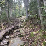 Mount Success via Appalachian Trail, New Hampshire - 391 Reviews, Map ...