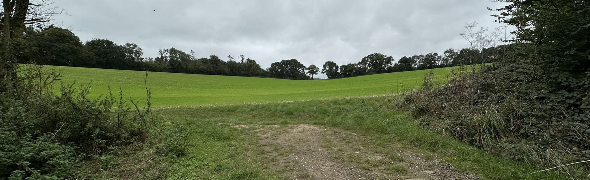 Ashampstead Circular, Berkshire, England - 12 Reviews, Map | AllTrails