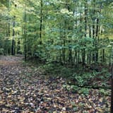Raven Red Trail Loop, Wisconsin - 199 Reviews, Map | AllTrails