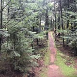 Raven Red Trail Loop, Wisconsin - 199 Reviews, Map | AllTrails