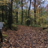 Raven Red Trail Loop, Wisconsin - 199 Reviews, Map | AllTrails