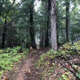 Raven Red Trail Loop, Wisconsin - 199 Reviews, Map | AllTrails