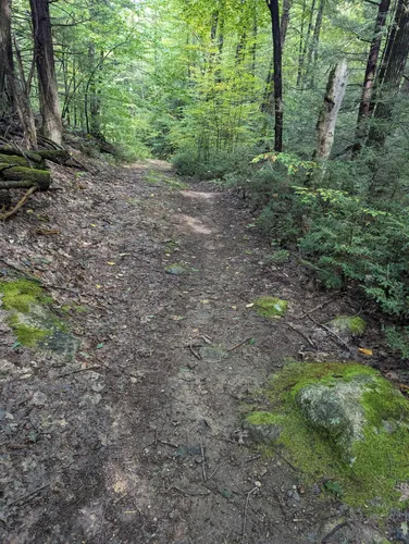 Best Hikes and Trails in Hammond Nature Preserve and Walker Forest ...