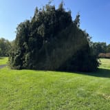 Louise W. Moore County Park, Pennsylvania - 135 Reviews, Map | AllTrails