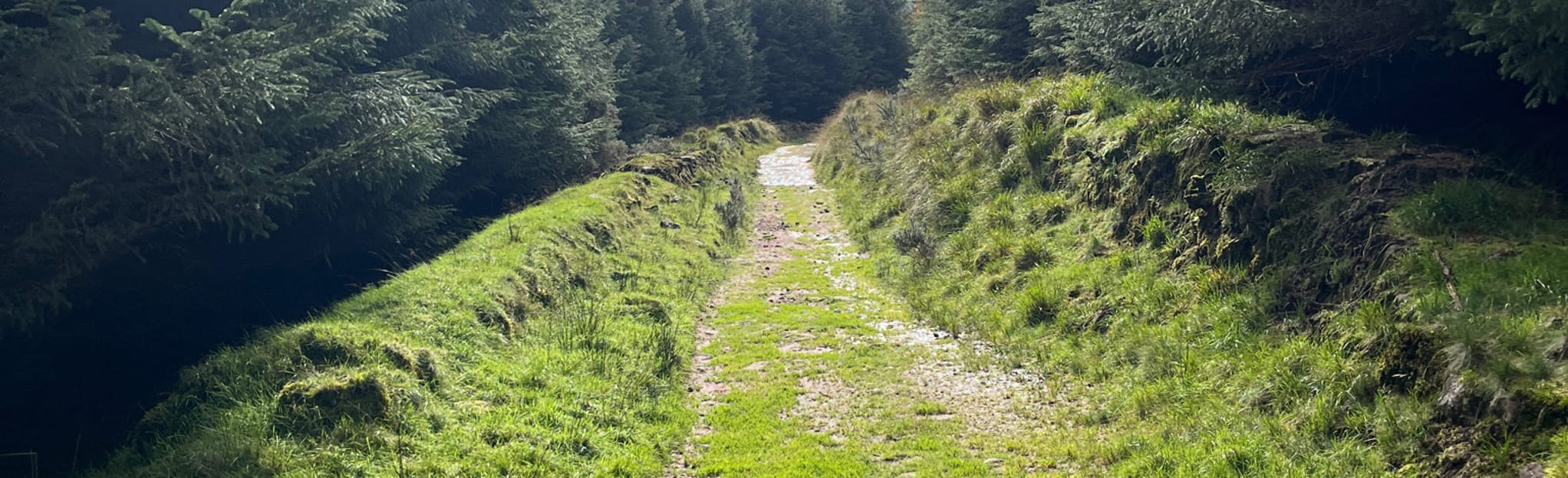 Galty Castle Loop, County Limerick, Ireland - 50 Reviews, Map | AllTrails