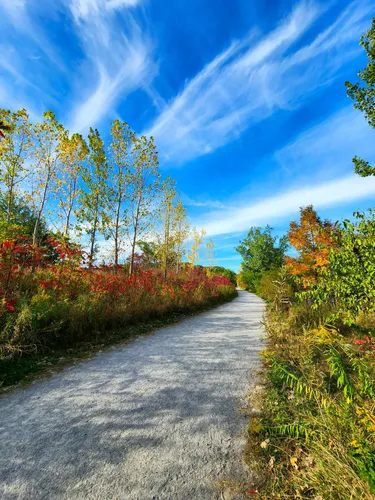 10 Best Trails and Hikes in Toronto | AllTrails