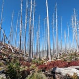 Barrett Spur via Vista Ridge and Wy'east Basin Trail, Oregon - 146 ...