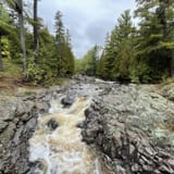 Lester River Trail and Amity East, Minnesota - 824 Reviews, Map | AllTrails