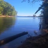 Little Gap Trail, South Carolina - 644 Reviews, Map | AllTrails