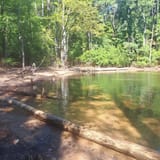 Little Gap Trail, South Carolina - 644 Reviews, Map | AllTrails