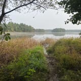 Leach Pond Trail, Massachusetts - 2,185 Reviews, Map | AllTrails
