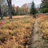 Quehanna Western Section Loop from Parker Lake, Pennsylvania - 43 ...