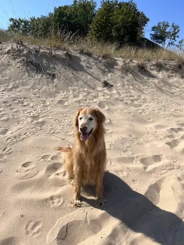 Best Hikes and Trails in Ottawa Sands County Park | AllTrails