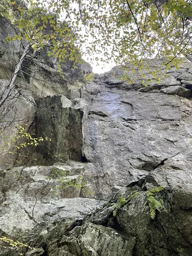 Best Hikes and Trails in Bears Den Natural Area | AllTrails