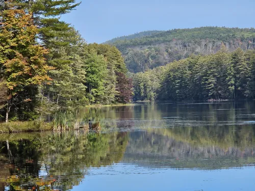 Best Hikes and Trails in Pack Demonstration Forest | AllTrails