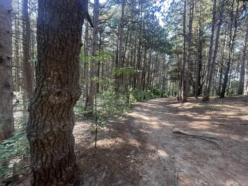 Best Hikes and Trails in Provin Trails Park | AllTrails