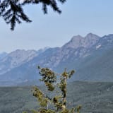 Cedar Butte Trail, Washington - 1,867 Reviews, Map | AllTrails