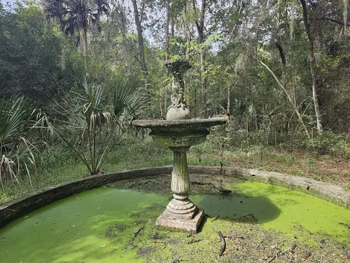 2023 Best Views Trails in Townsend | AllTrails