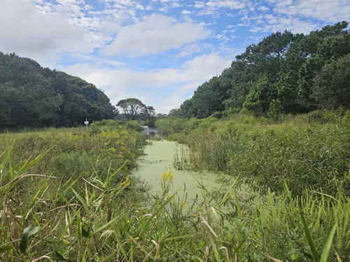 2023 Best Views Trails in Townsend | AllTrails