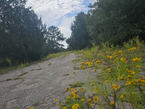 2023 Best Views Trails in Townsend | AllTrails