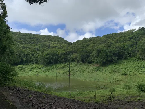 Best Moderate Trails in Walling Nature Reserve | AllTrails