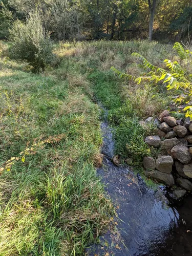 Best Hikes and Trails in Springbrook State Park | AllTrails