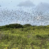 Sachuest Point National Wildlife Refuge Trail, Rhode Island - 1,535 ...
