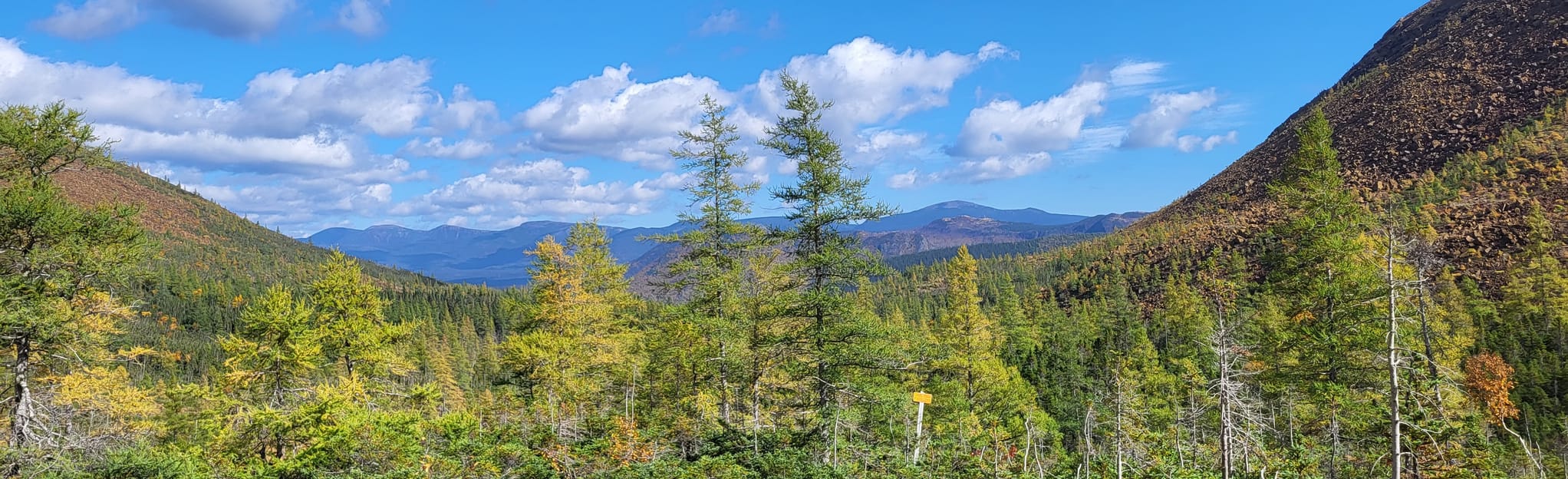 Mont Albert Loop, Quebec, Canada - 842 Reviews, Map | AllTrails