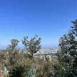 Mount Sutro Loop, California - 2,205 Reviews, Map | AllTrails