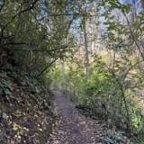 Mount Sutro Loop, California - 2,205 Reviews, Map | AllTrails