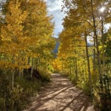 Telluride River Trail, Colorado - 1,121 Reviews, Map | AllTrails