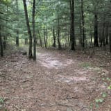 Pawcatuck River Loop, Rhode Island - 241 Reviews, Map | AllTrails