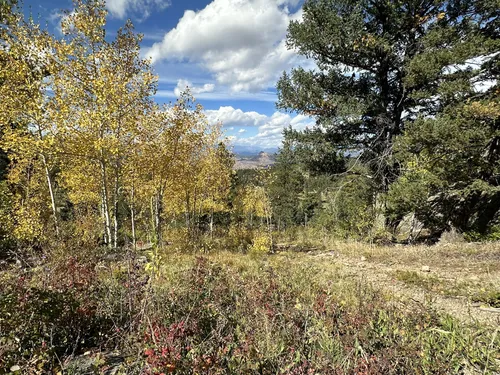 2023 Best Easy Trails in Sedalia | AllTrails